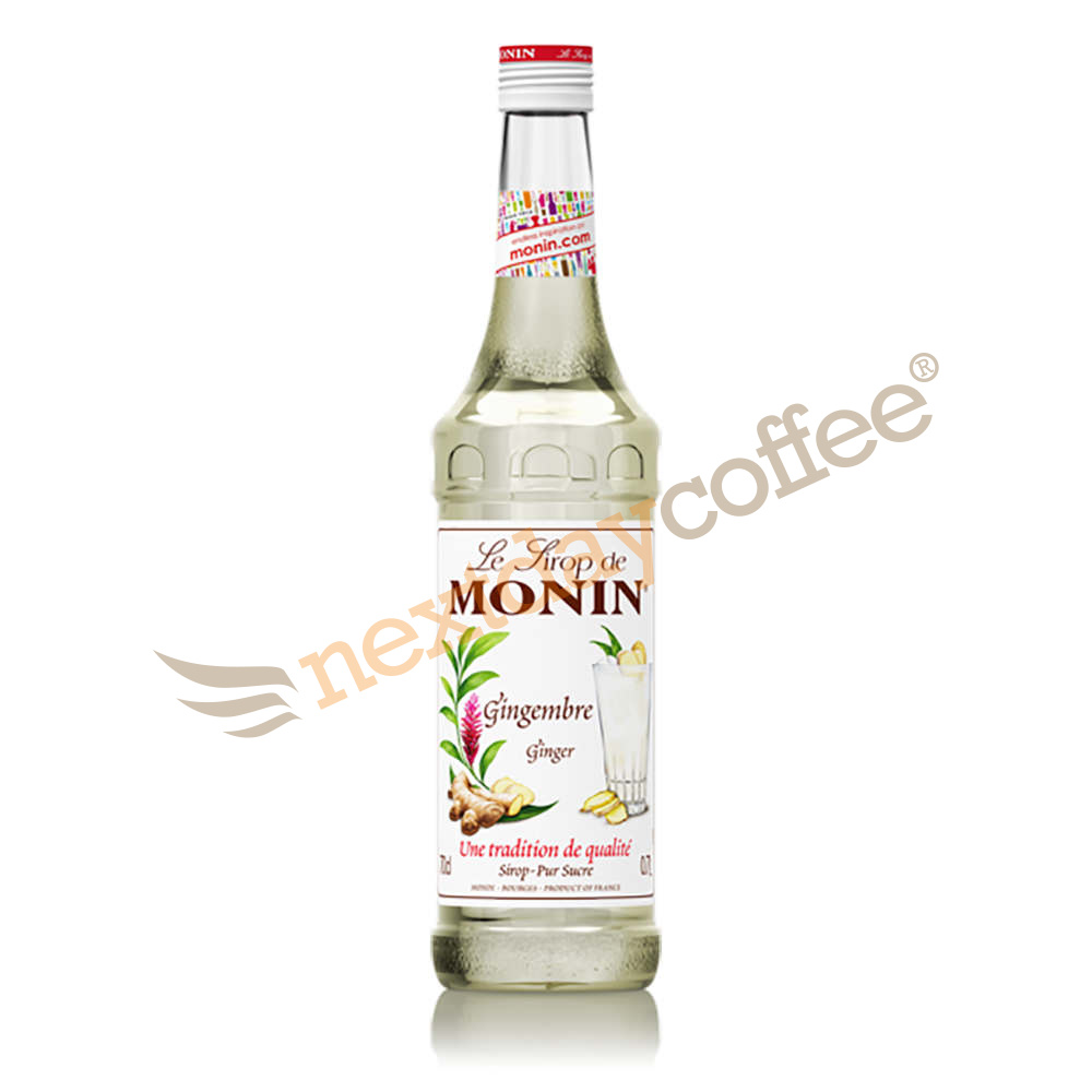 Monin Ginger Syrup for Baking, Lattes and Cocktails