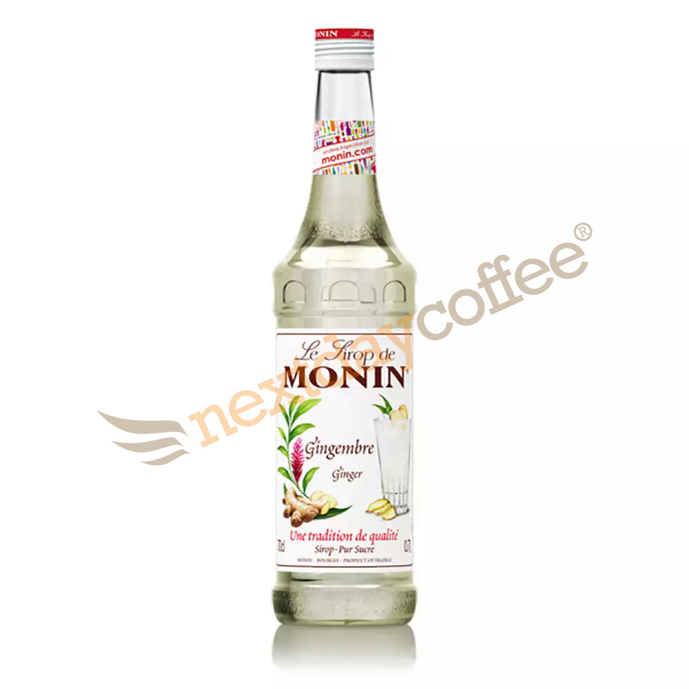 Monin Ginger Syrup for Baking, Lattes and Cocktails