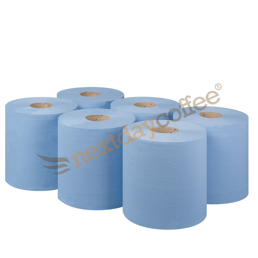 Blue Centrefeed Rolls 2ply (6 pack) | Cleaning Products
