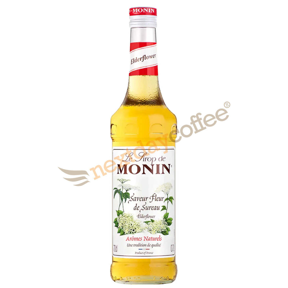 MONIN Syrup - Elderflower (700ml)