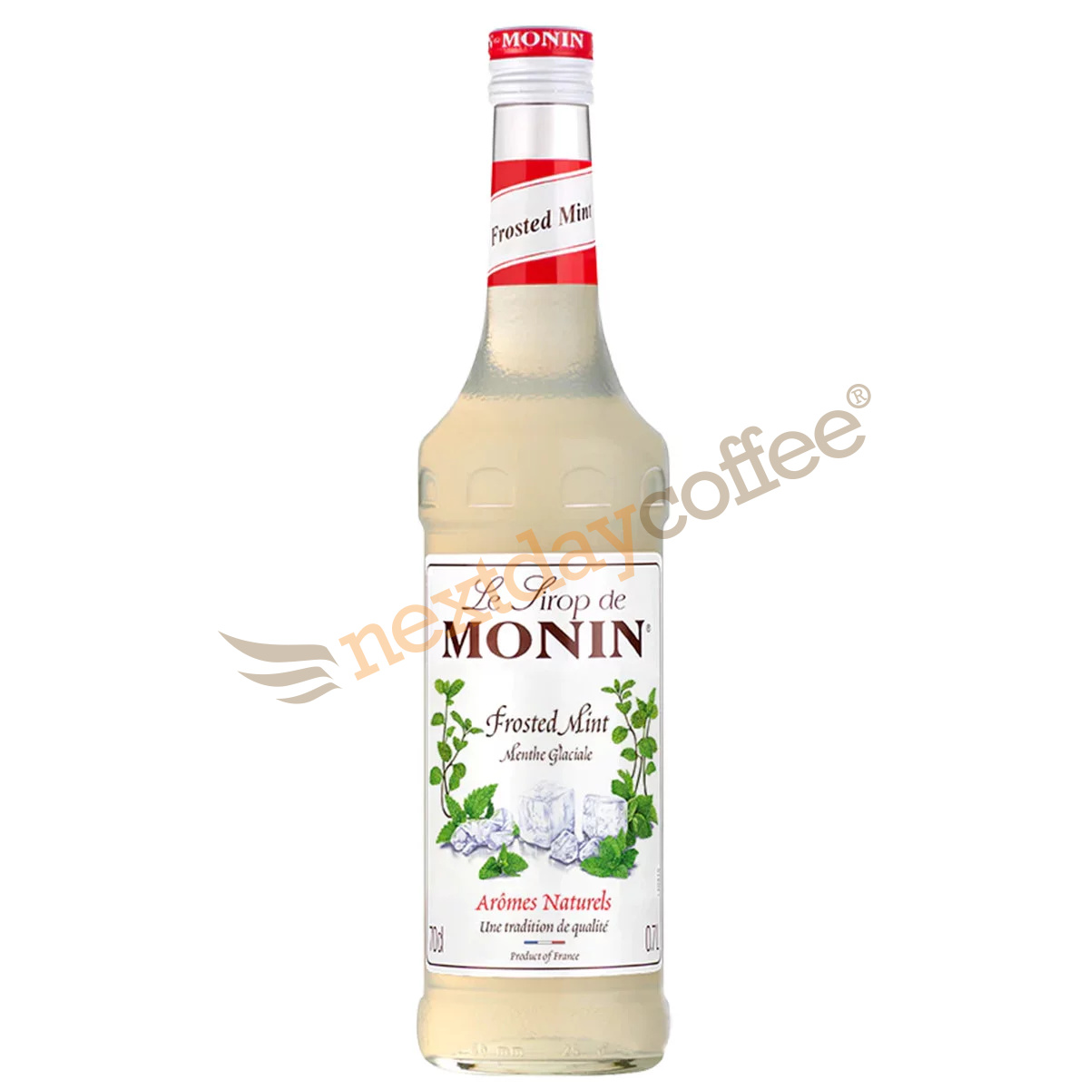 MONIN Syrup - Frosted Mint (700ml)