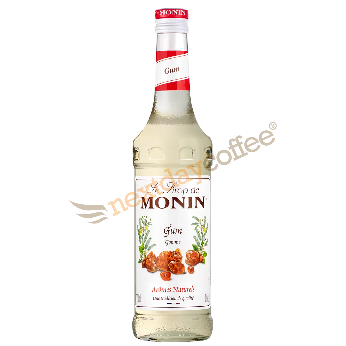 MONIN Gomme Syrup (70cl) | 700ml Glass Bottle