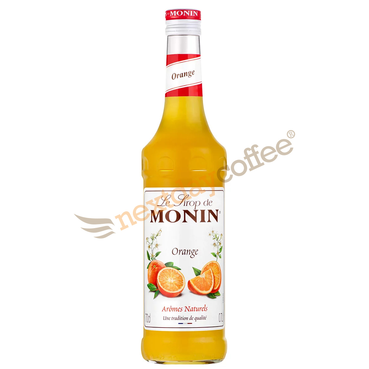 MONIN Orange Syrup for Adding to Hot Chocolate