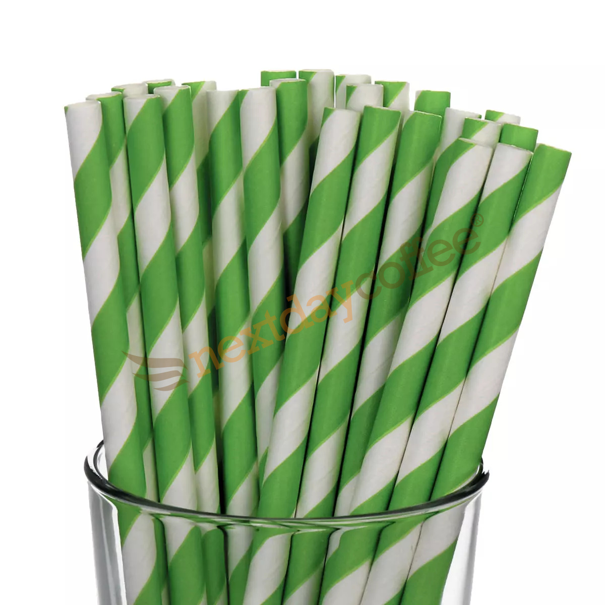 Paper Smoothie Straws - Green Stripe (250) | Drinking Straws