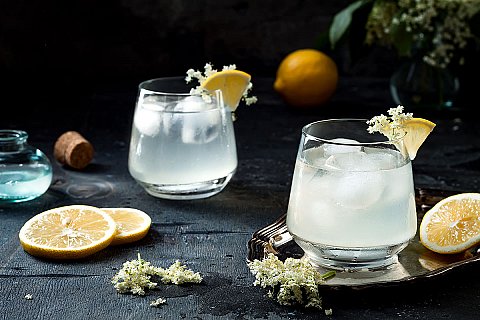 Elderflower Flavouring Syrups from Amor and Monin