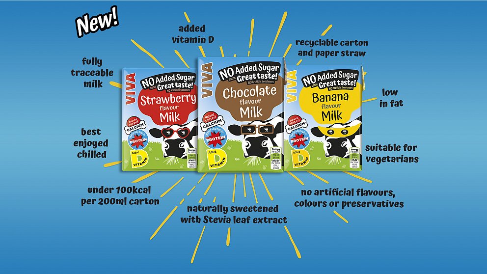 VIVA No Added Sugar Flavoured Milk Drinks